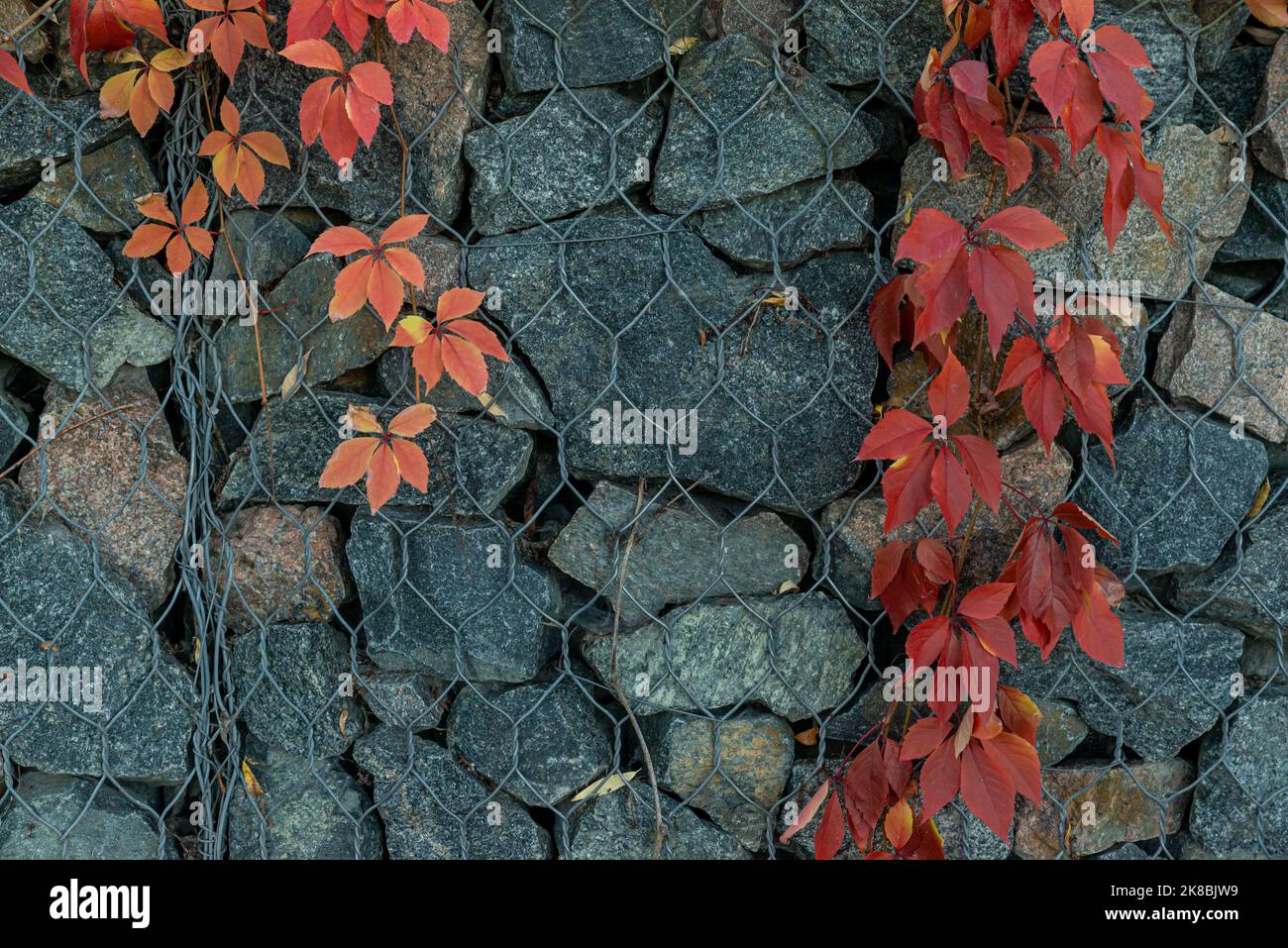 a modern urban park environmental object development, gabion fence wall ...