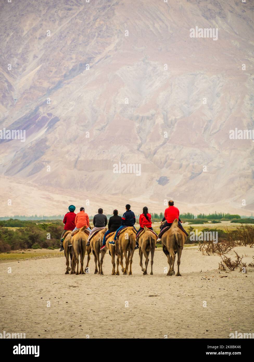 Hunder is a village in Leh district of Ladakh, India famous for Sand ...