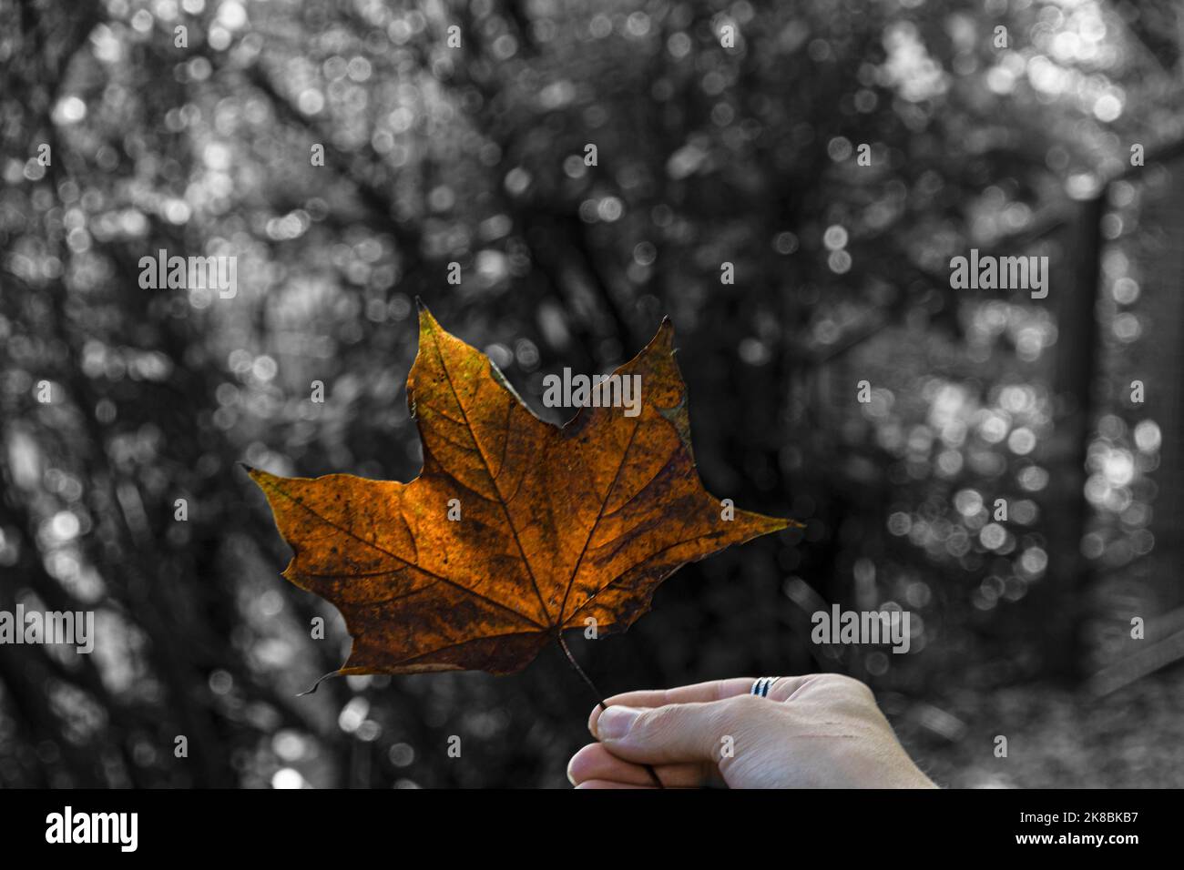 Faded background hi-res stock photography and images - Alamy