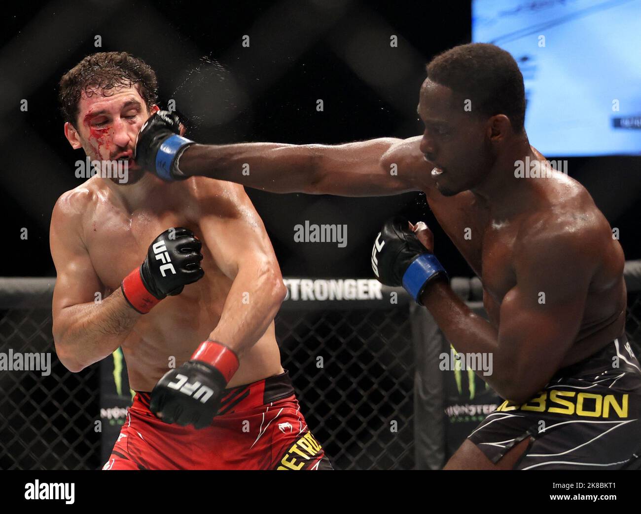 Mixed Martial Arts - UFC 280 - Etihad Arena, Abu Dhabi, United Arab ...