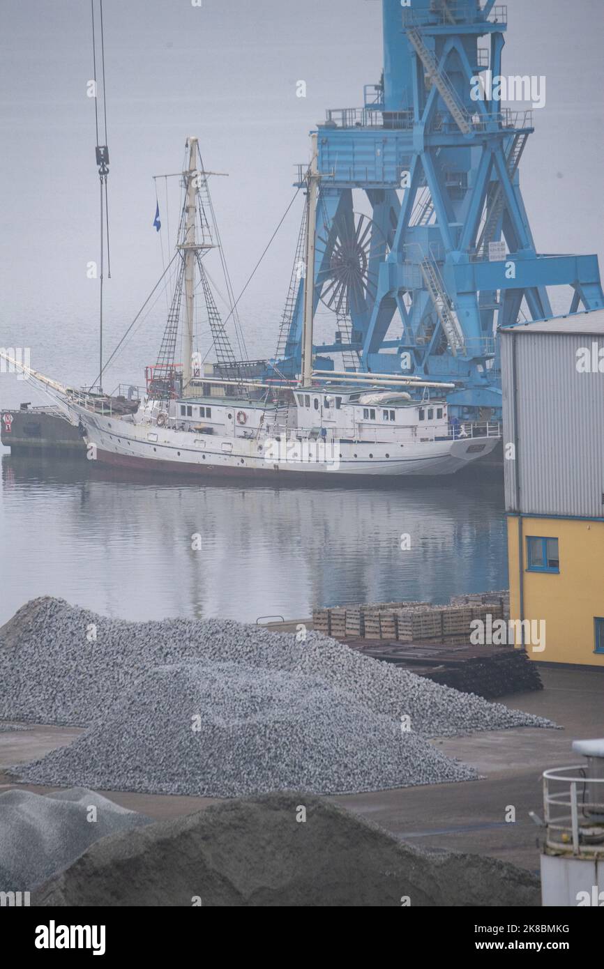 Greif 10 hi-res stock photography and images - Alamy