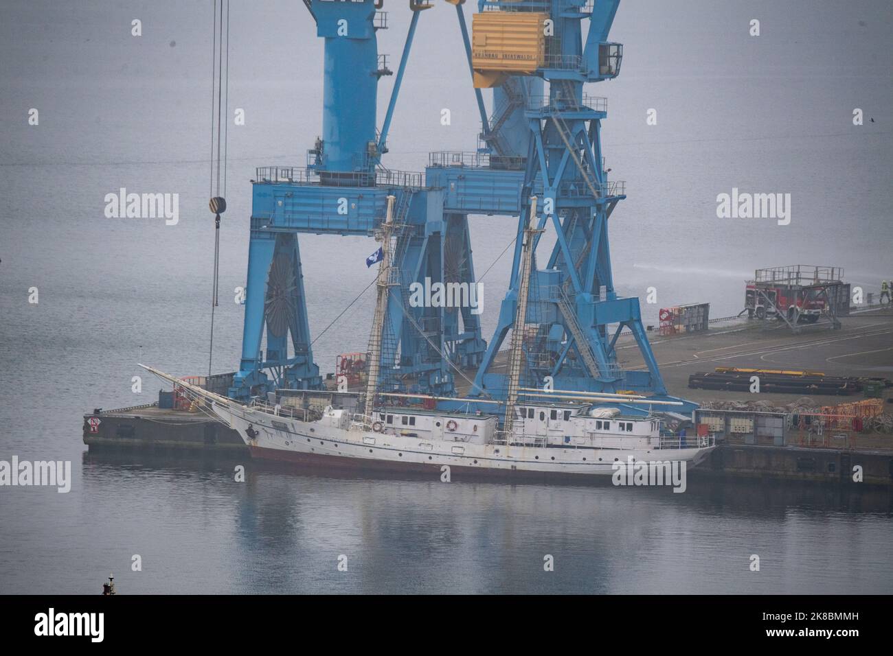 Greif 10 hi-res stock photography and images - Alamy