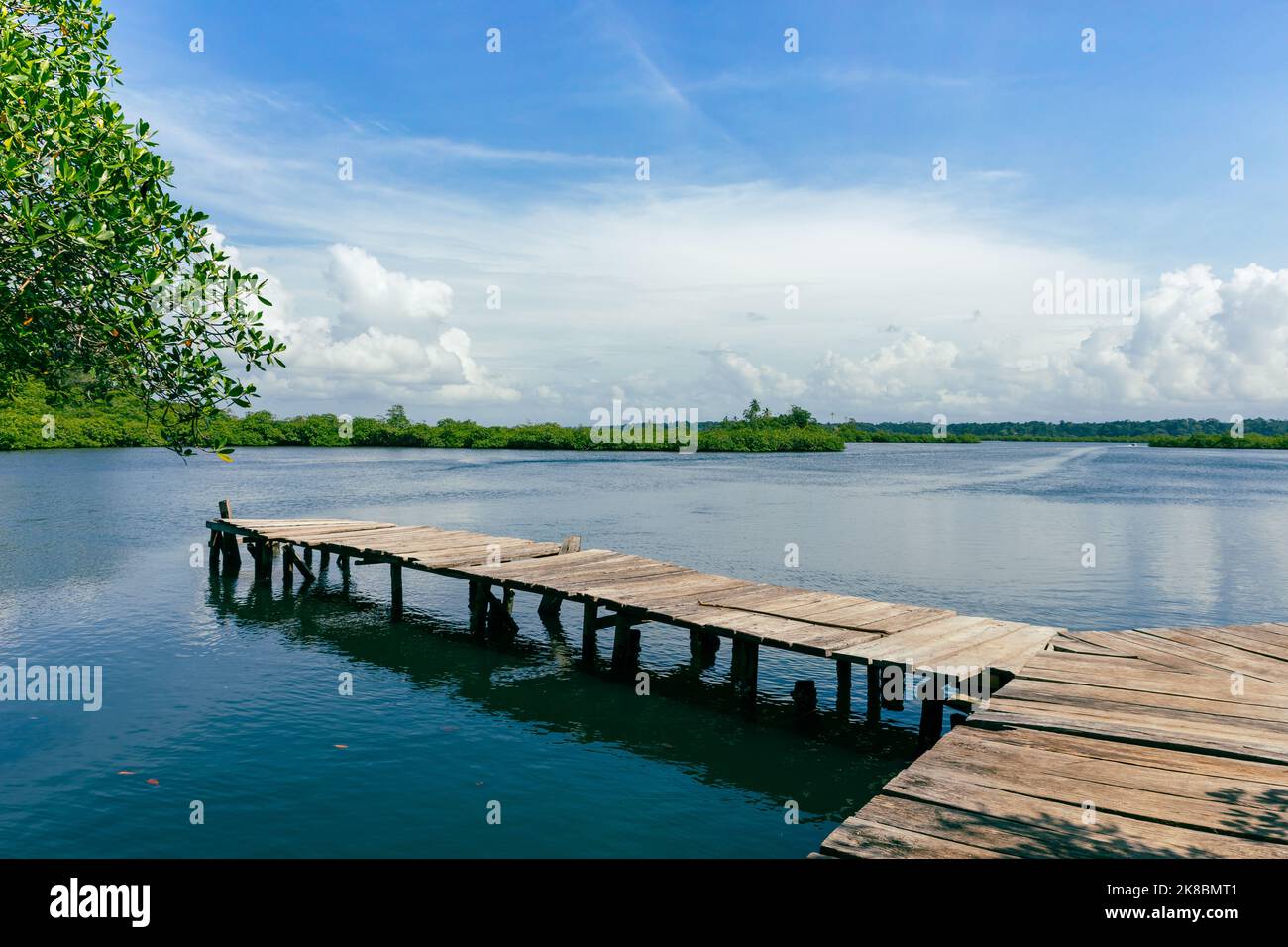 Tropical Island. Wild coastline lush exotic green jungle and mangroves ...