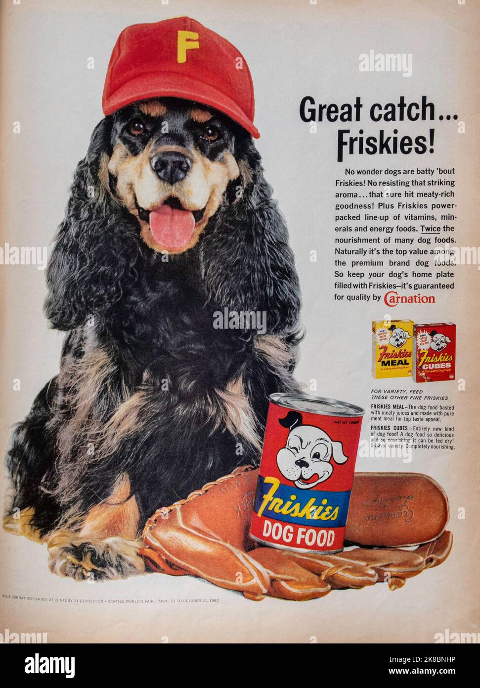 Vintage k9 dog hi-res stock photography and images - Alamy
