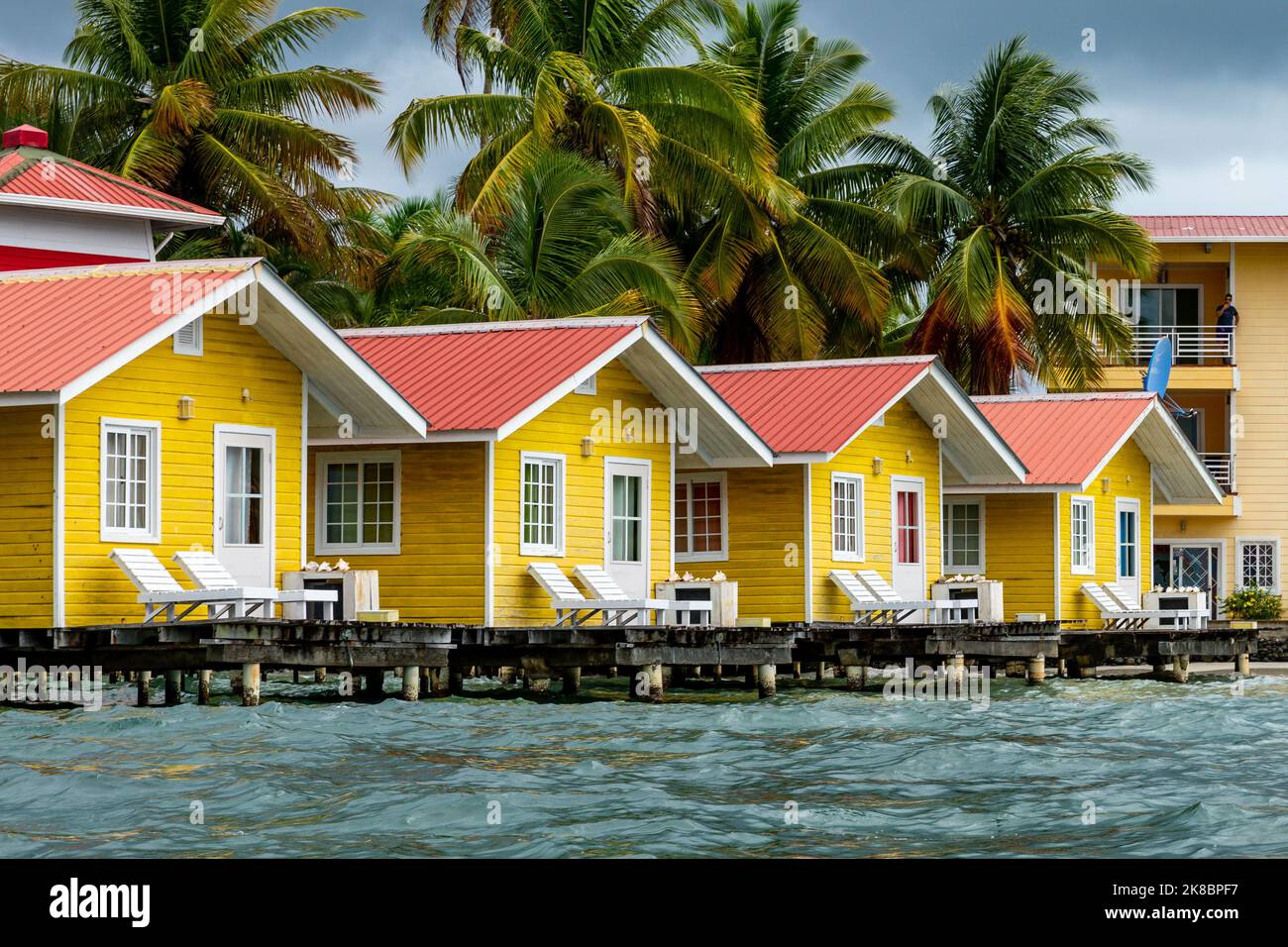Tropical Island. Wild coastline lush exotic green jungle and mangroves ...