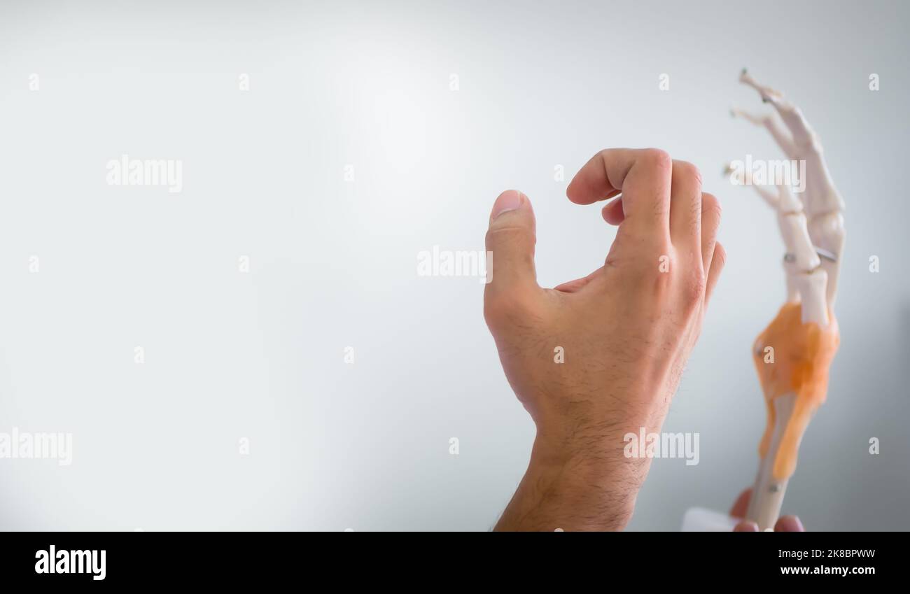 Joints of fingers anatomy study with copy space, Health care concept ...