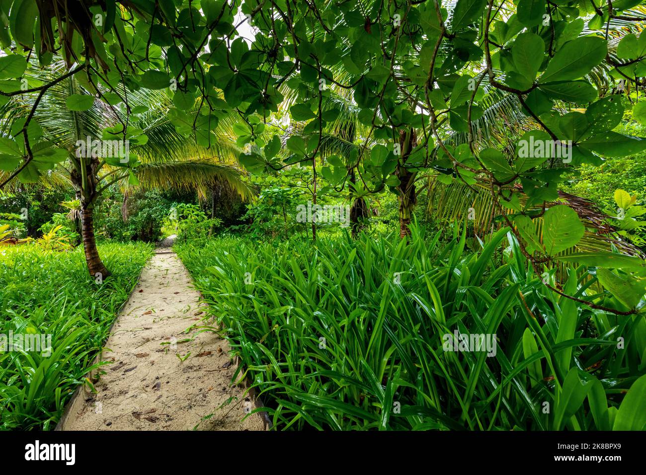 Tropical Caribbean island with lush vegetation in the marine park of ...
