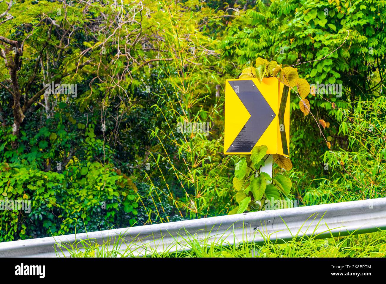 Yellow typical Asian street road sign in Naithon Beach on Phuket Island ...