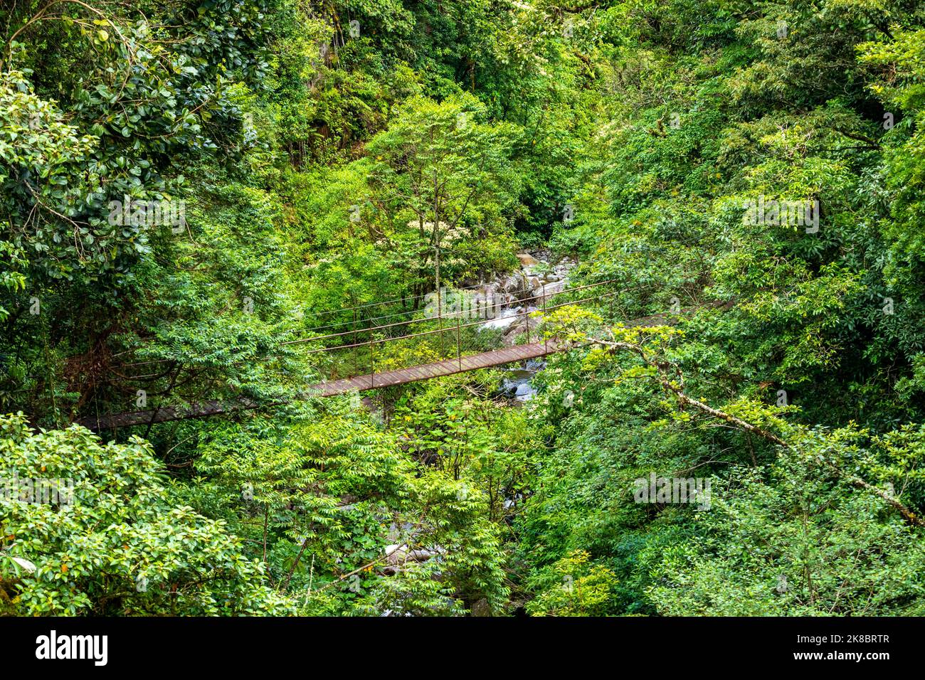 Panama Rainforest. Old hanging bridge in the jungle of Panama, Central ...