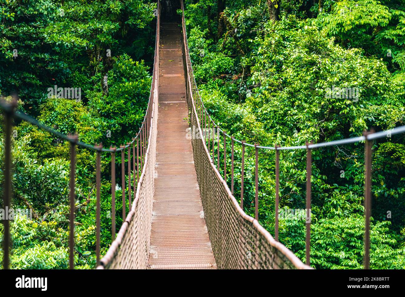 Panama Rainforest. Old hanging bridge in the jungle of Panama, Central ...