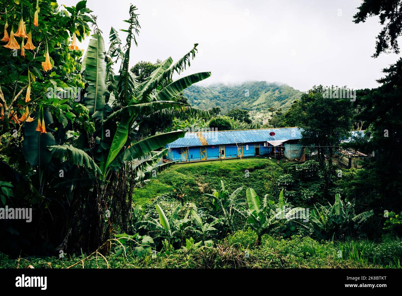 Jungle path to the Lost Waterfalls in Boquete, Panama Stock Photo - Alamy