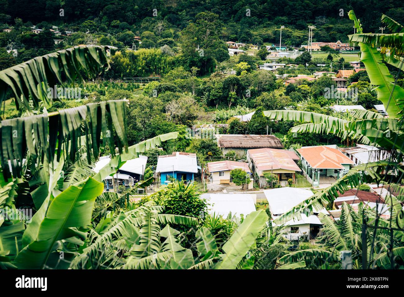 Jungle path to the Lost Waterfalls in Boquete, Panama Stock Photo - Alamy