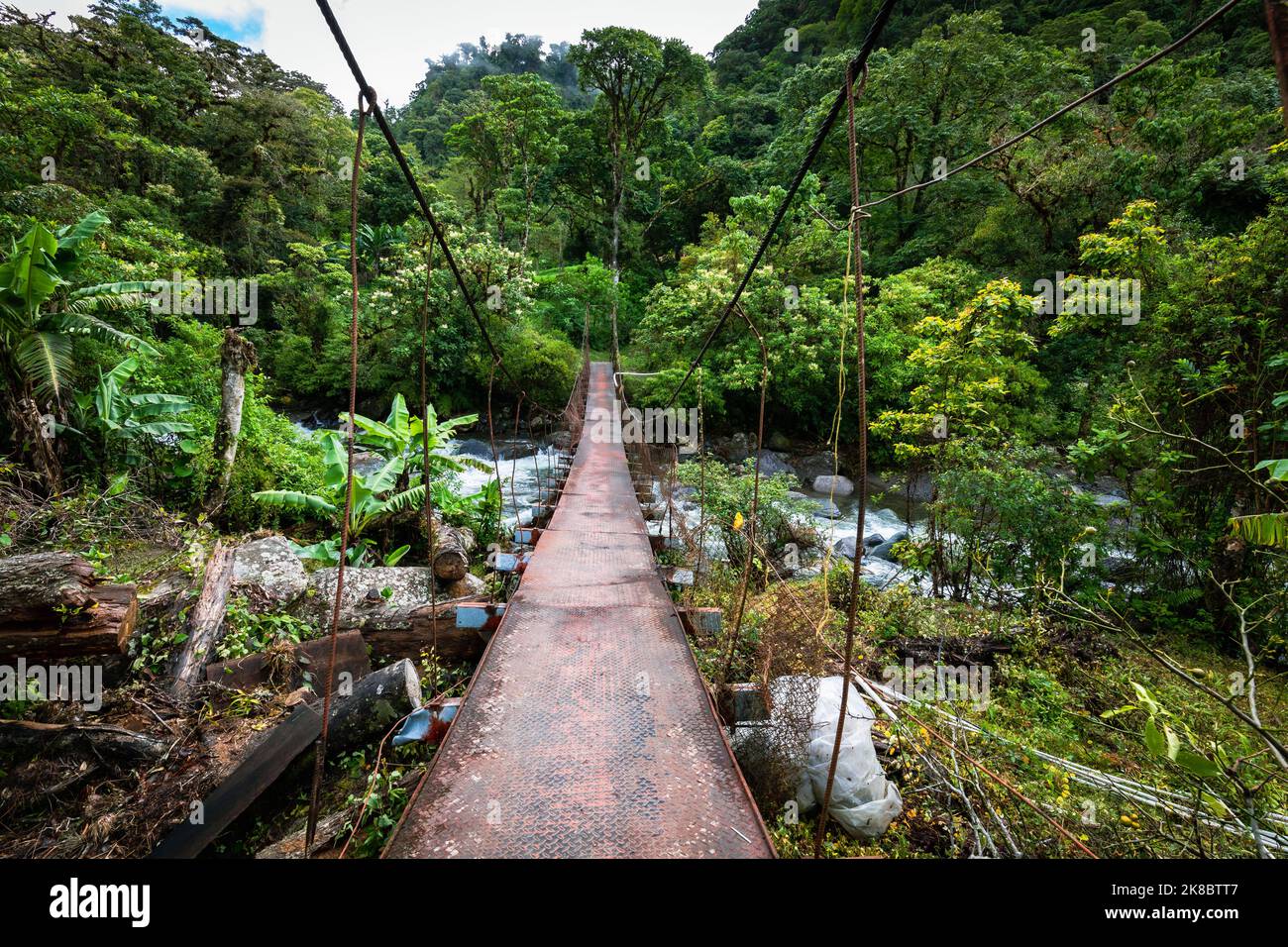 Panama Rainforest. Old hanging bridge in the jungle of Panama, Central ...