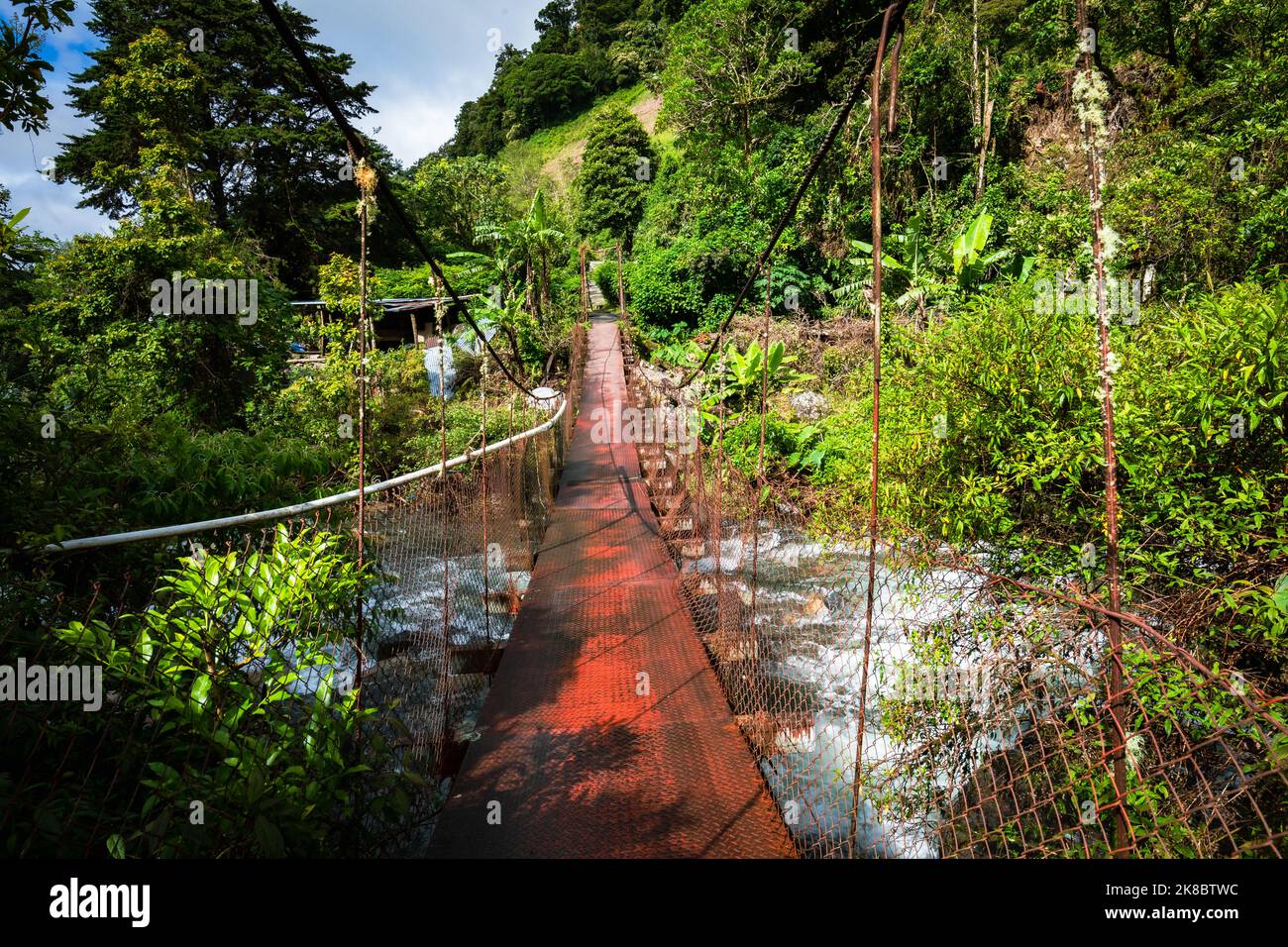 Panama Rainforest. Old hanging bridge in the jungle of Panama, Central ...