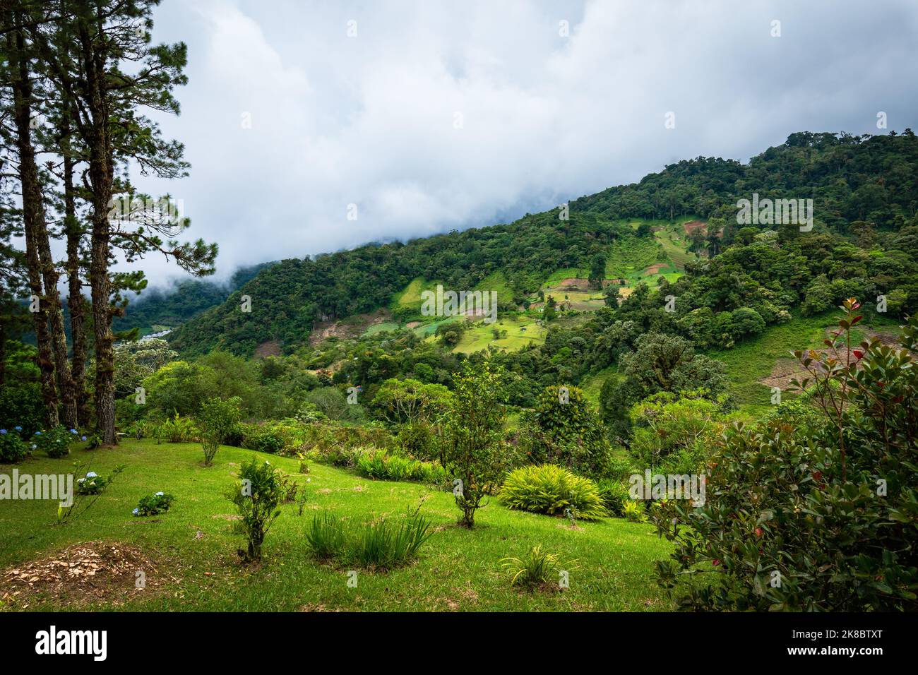 Jungle path to the Lost Waterfalls in Boquete, Panama Stock Photo - Alamy