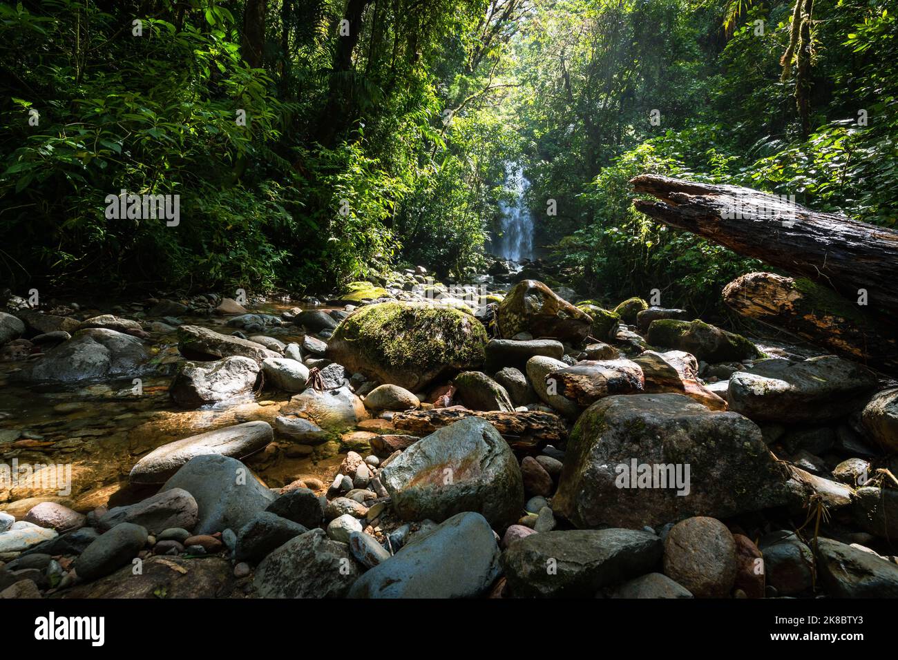Jungle path to the Lost Waterfalls in Boquete, Panama Stock Photo - Alamy