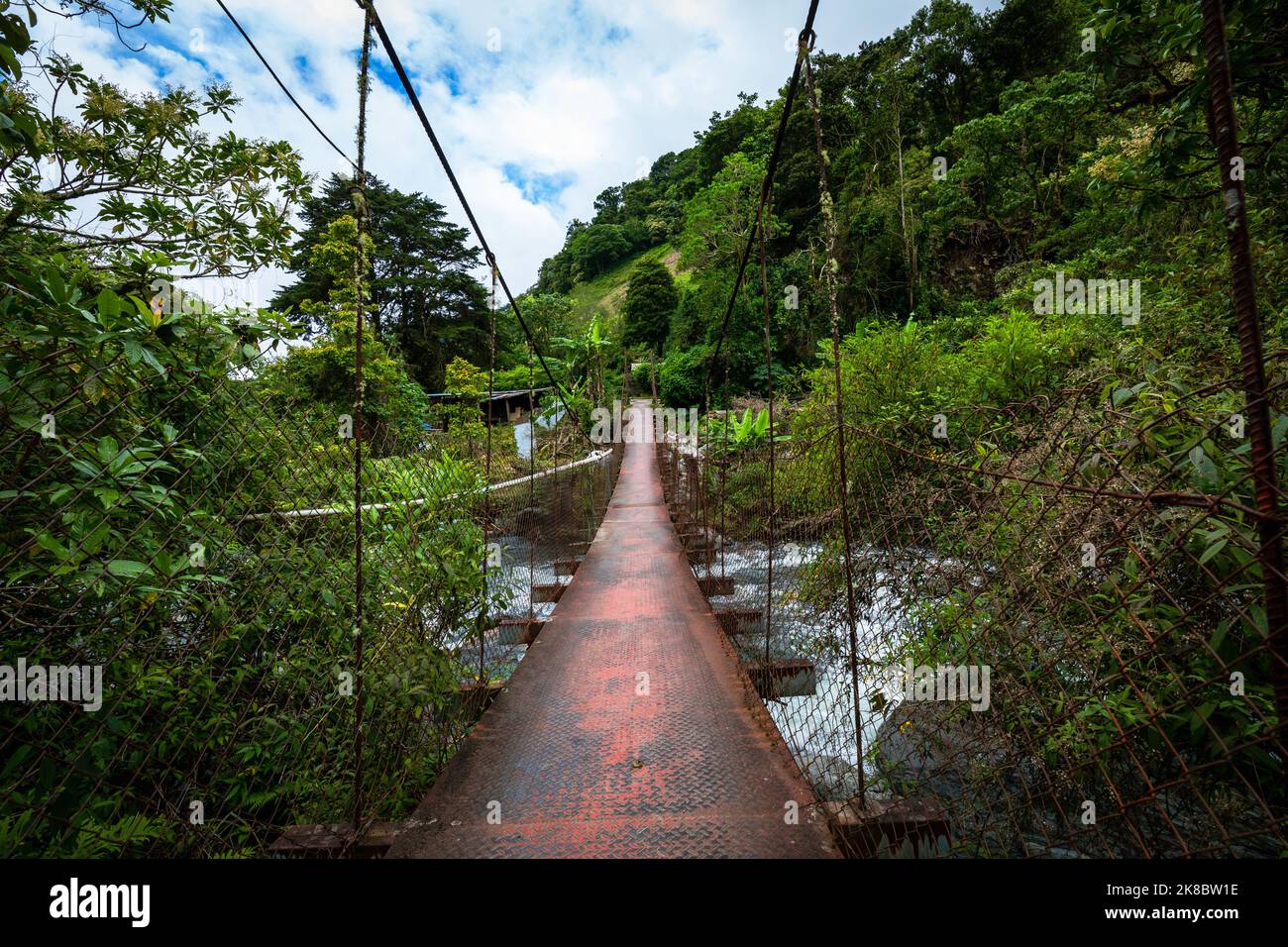 Panama Rainforest. Old hanging bridge in the jungle of Panama, Central ...