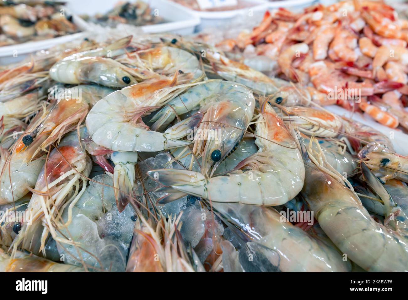 Seafood on ice at the fish market in Panama City, Panama Stock Photo ...