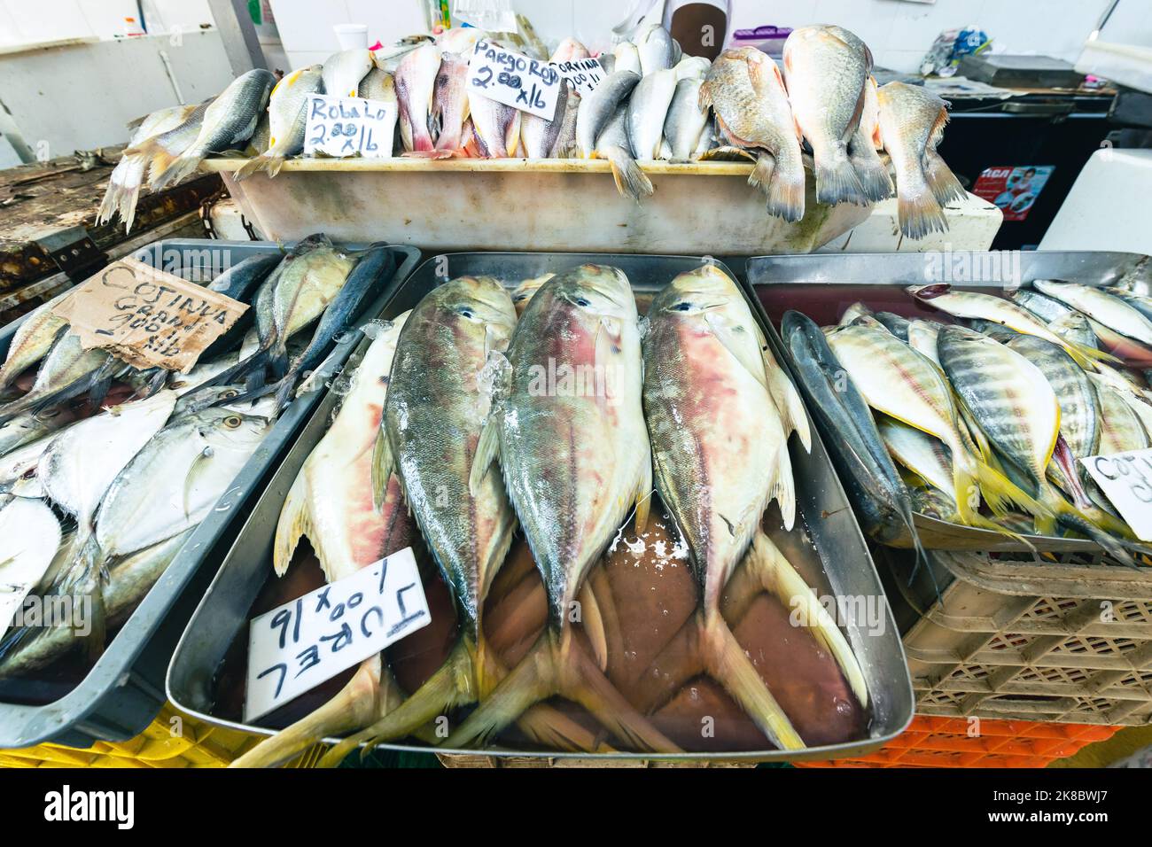 Seafood on ice at the fish market in Panama City, Panama Stock Photo ...