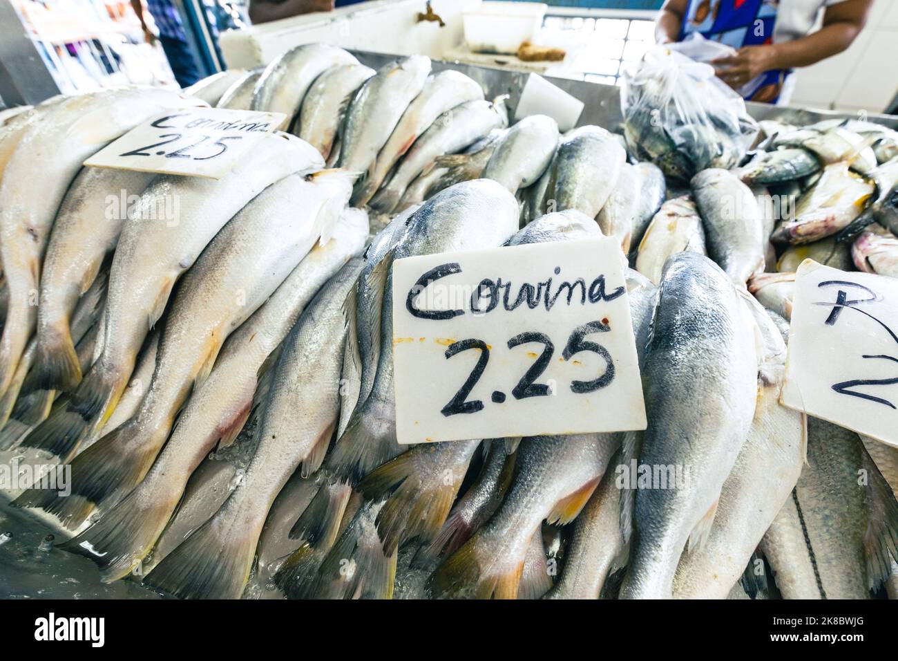 Seafood on ice at the fish market in Panama City, Panama Stock Photo ...