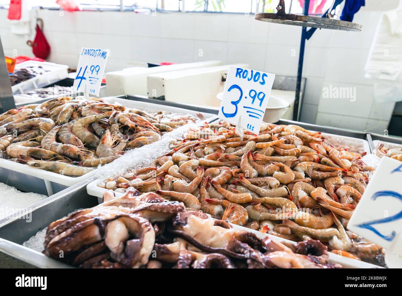 Seafood on ice at the fish market in Panama City, Panama Stock Photo ...