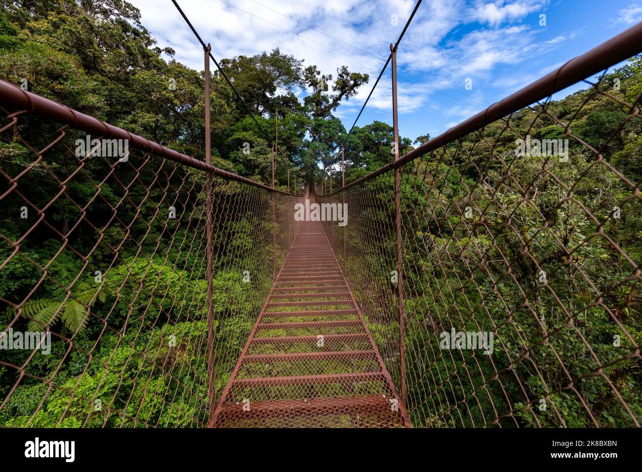 Panama Rainforest. Old hanging bridge in the jungle of Panama, Central ...