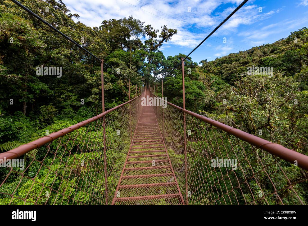 Panama Rainforest. Old hanging bridge in the jungle of Panama, Central ...