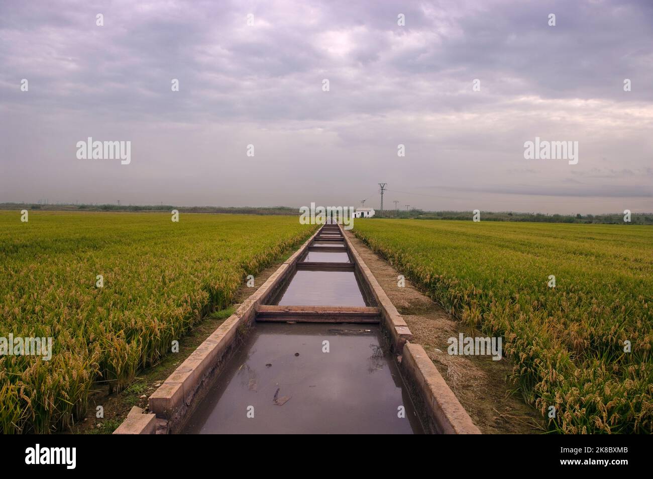 Irrigation canal system in the rice fields in the lagoon of Valencia ...