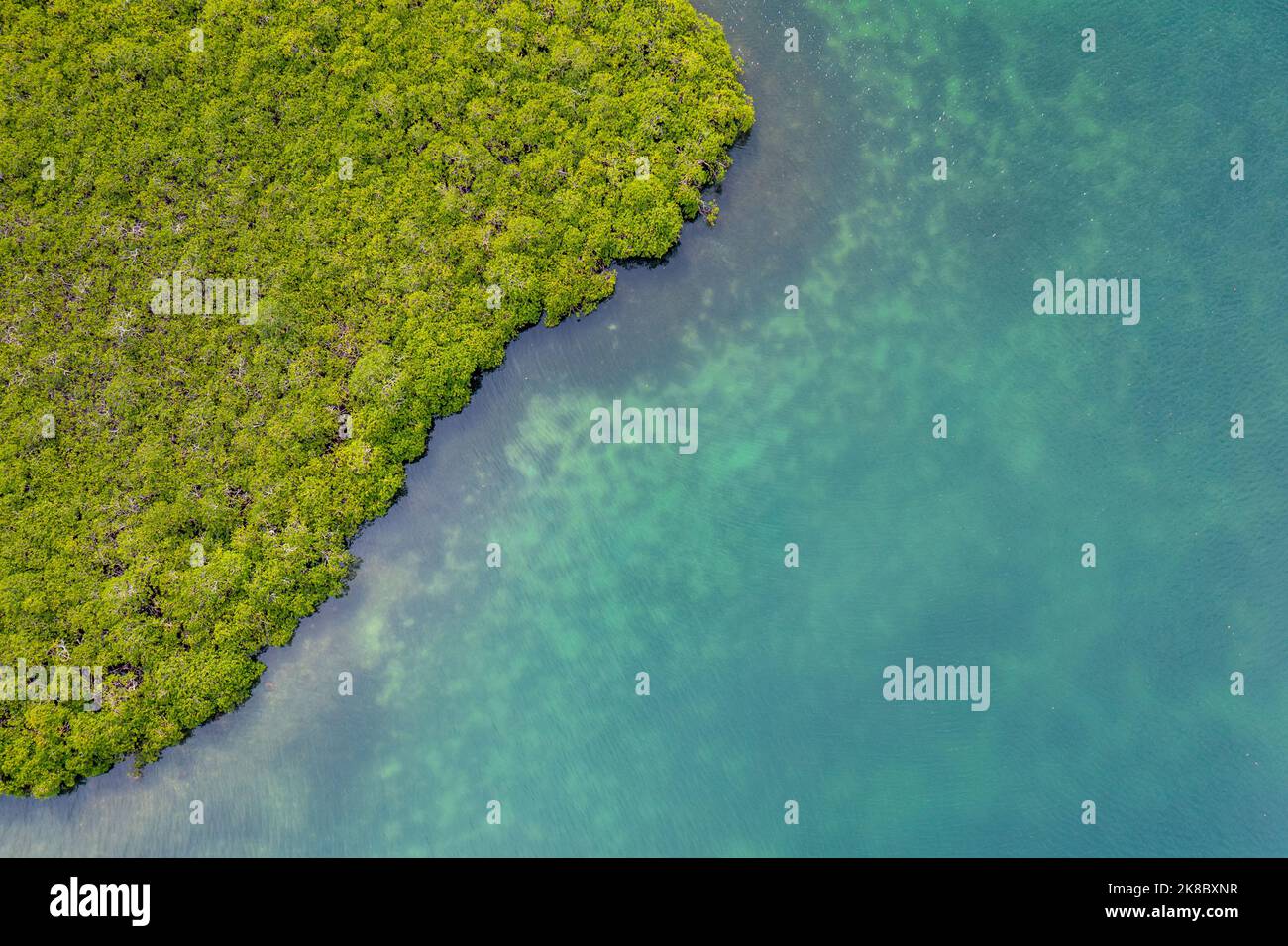 Bastimentos island panama aerial hi-res stock photography and images ...