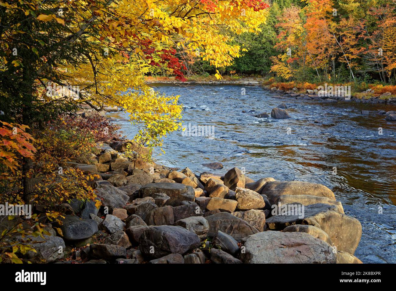 Park of dorwin falls hi-res stock photography and images - Alamy