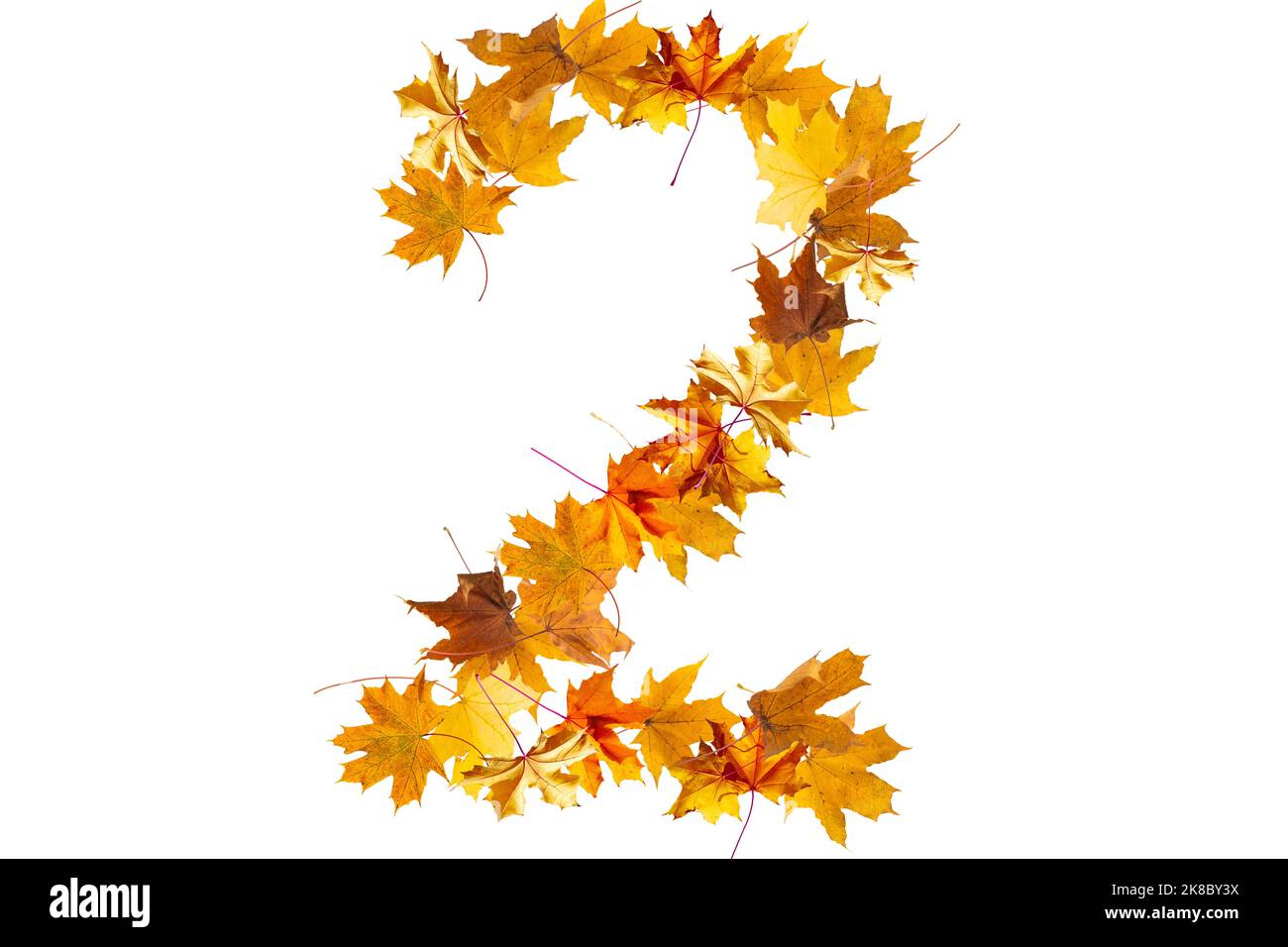 Number 2 made of autumn colored leaves isolated on white background ...