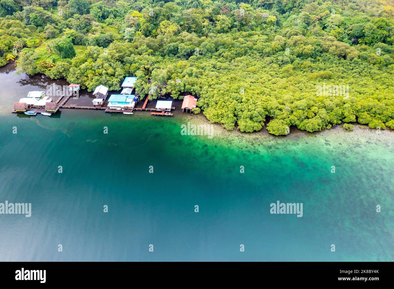 Panama.Tropical Island Aerial View. Wild coastline lush exotic green ...