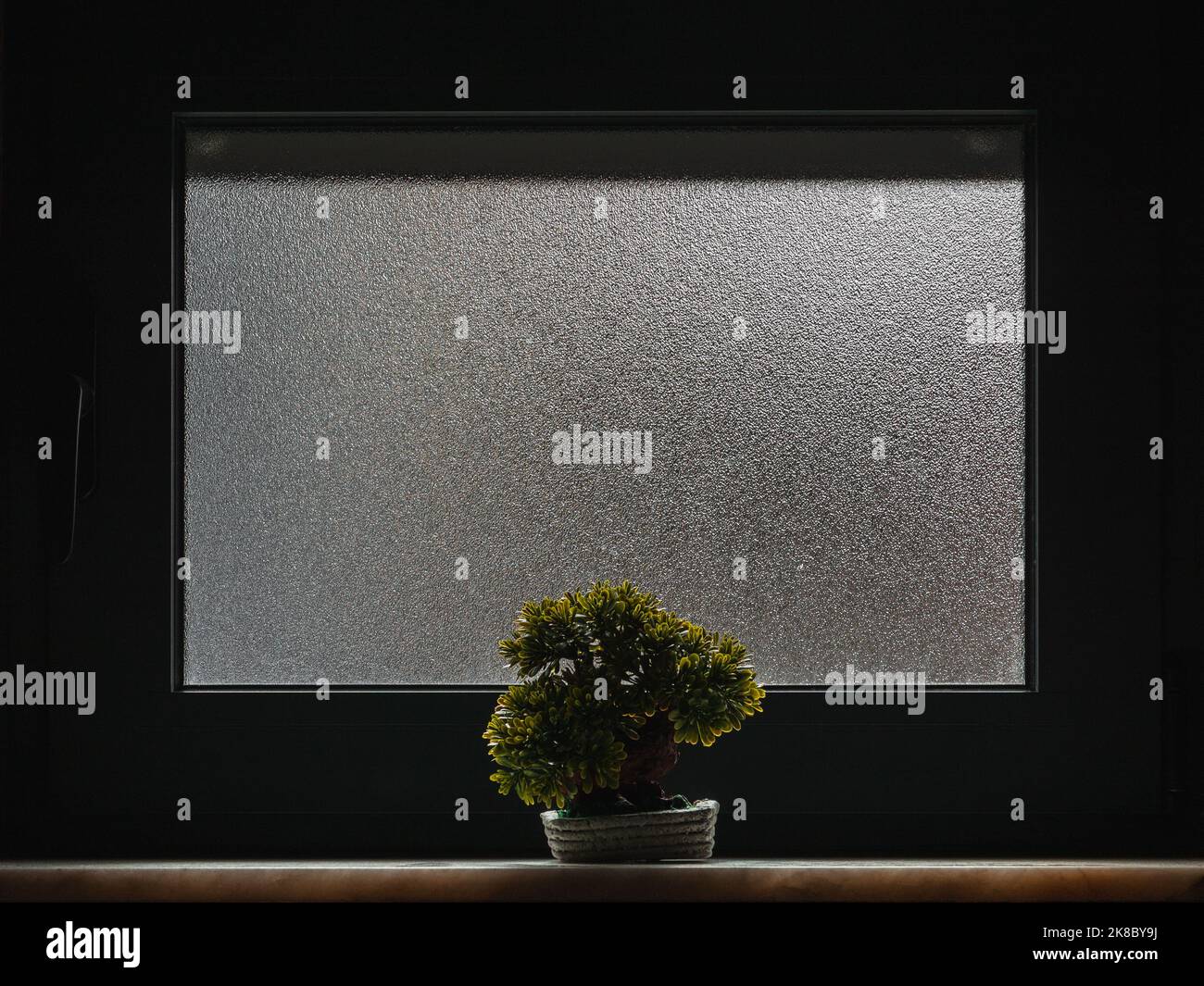 Artificial bonsai tree standing on a window sill illuminated by the dim ...