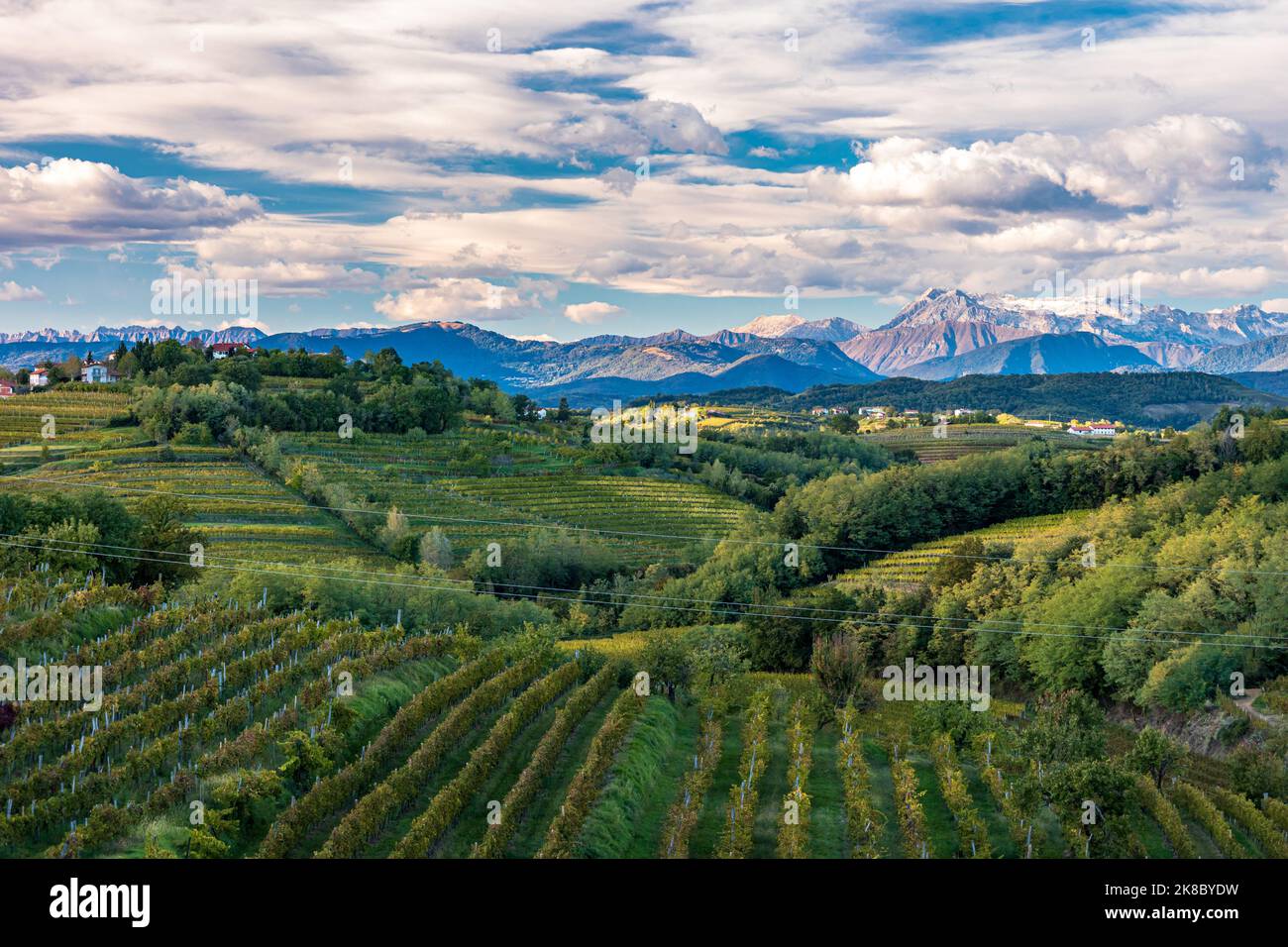 The sun goes down over the vineyards of Collio, Friuli Venezia Giulia ...