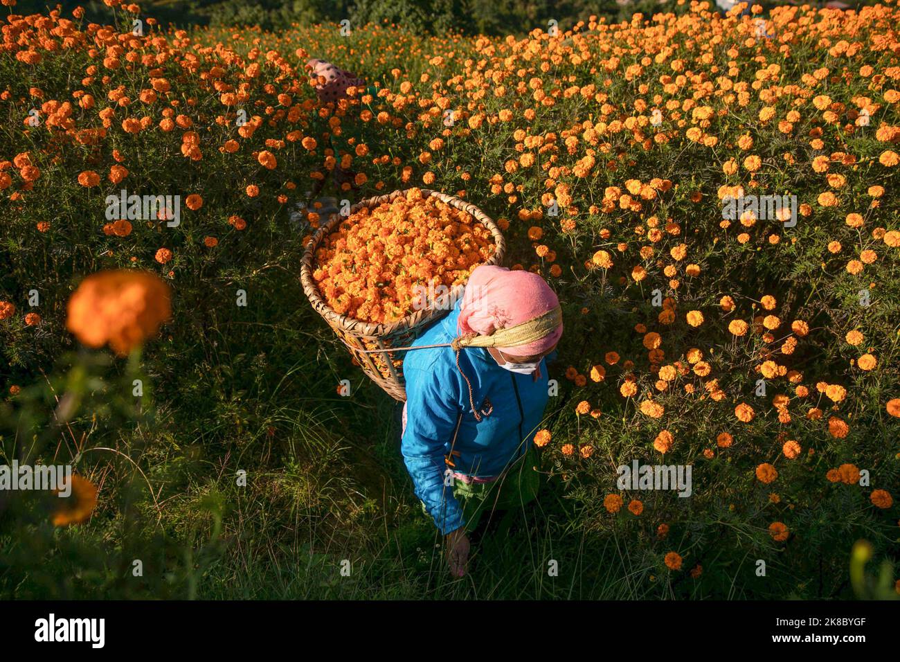 Kathmandu, Nepal. 22nd Oct, 2022. Woman carries a basket filled with ...