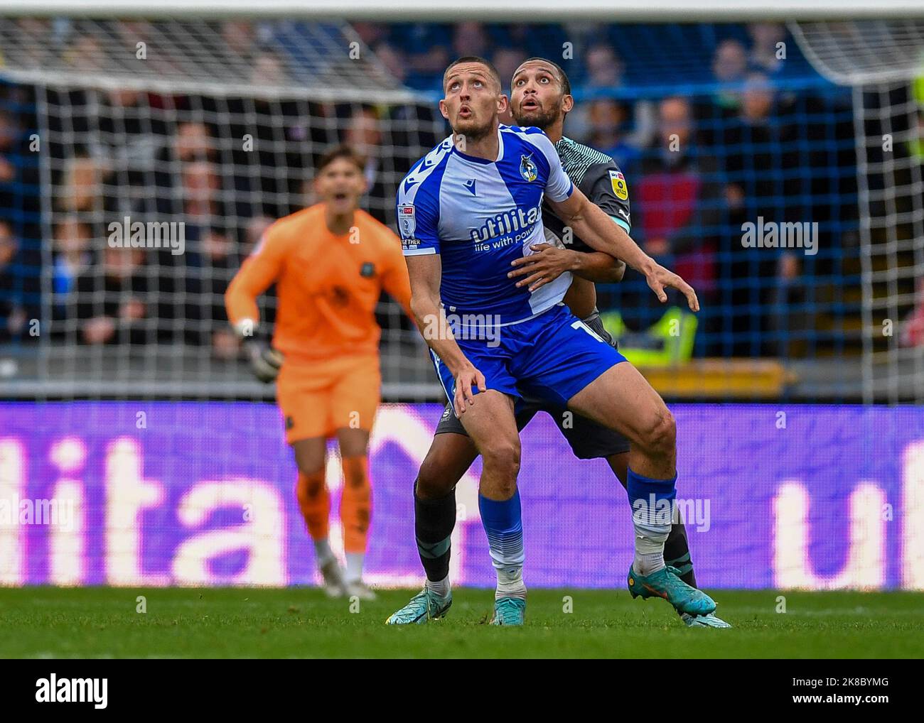 Ryan loft 2022 hi-res stock photography and images - Alamy