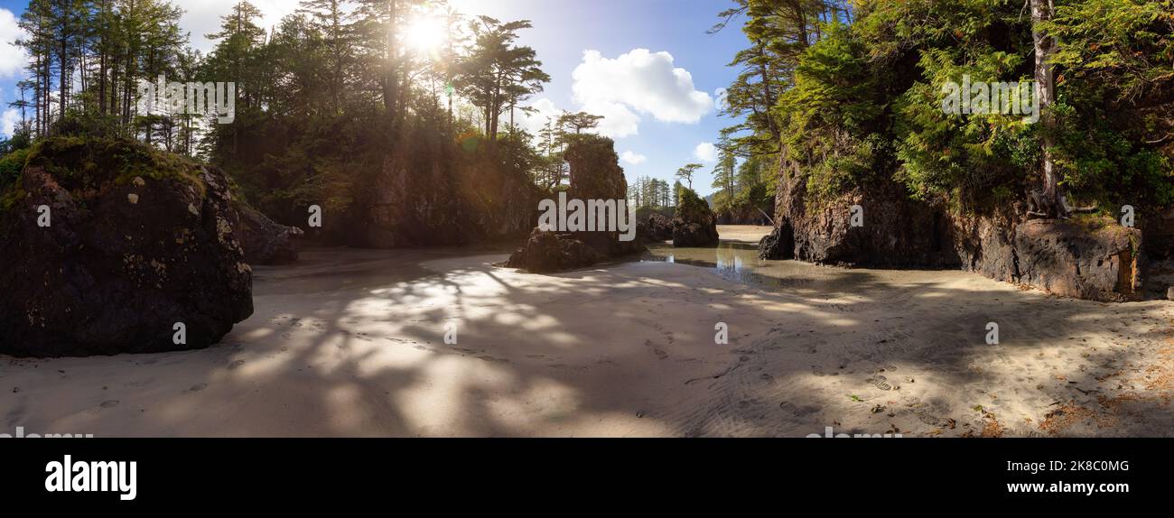 Sandy beach on Pacific Ocean Coast View. Sunny Blue Sky. San Josef Bay ...