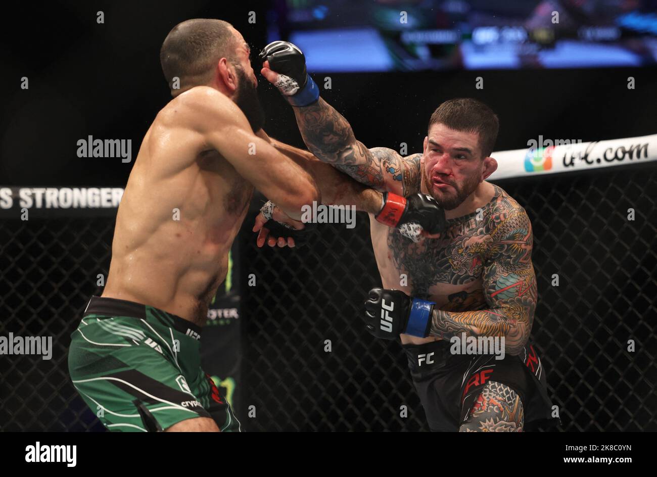 Sean brady ufc hi-res stock photography and images - Alamy