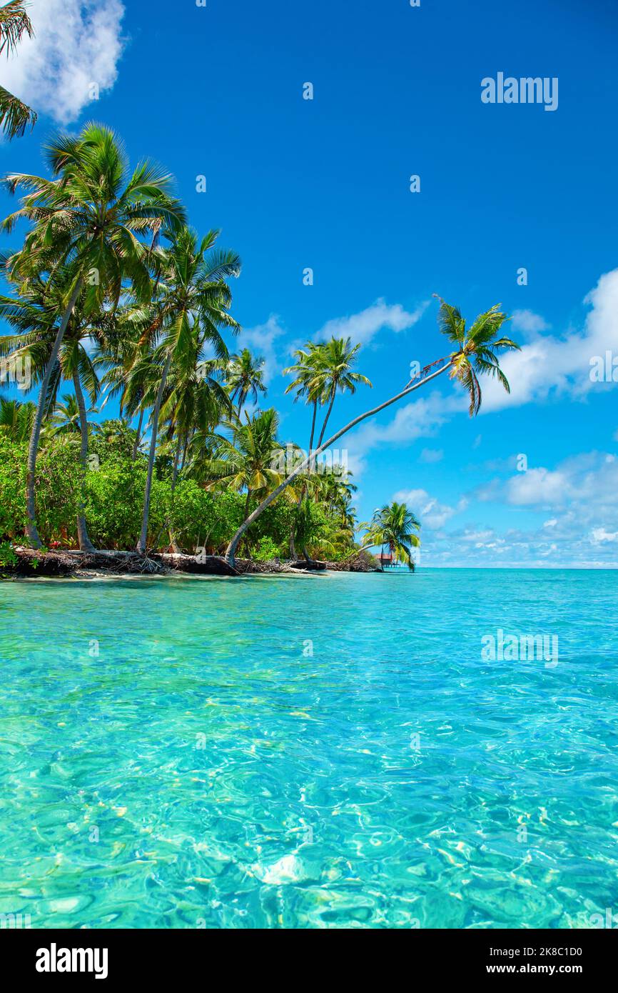 Exotic paradise Maldive resort lagoon bay view Stock Photo - Alamy