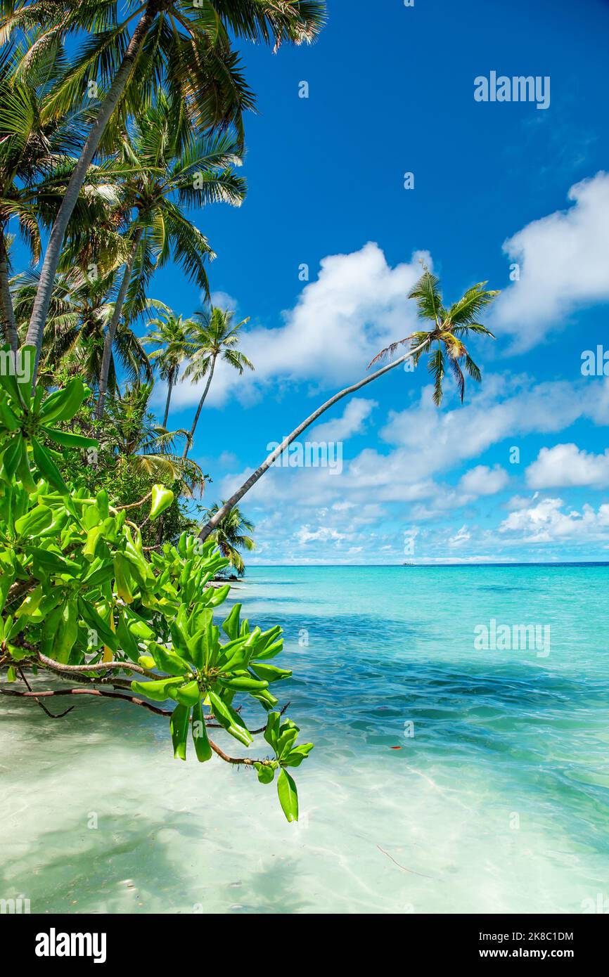 Exotic paradise Maldive resort lagoon bay view Stock Photo - Alamy