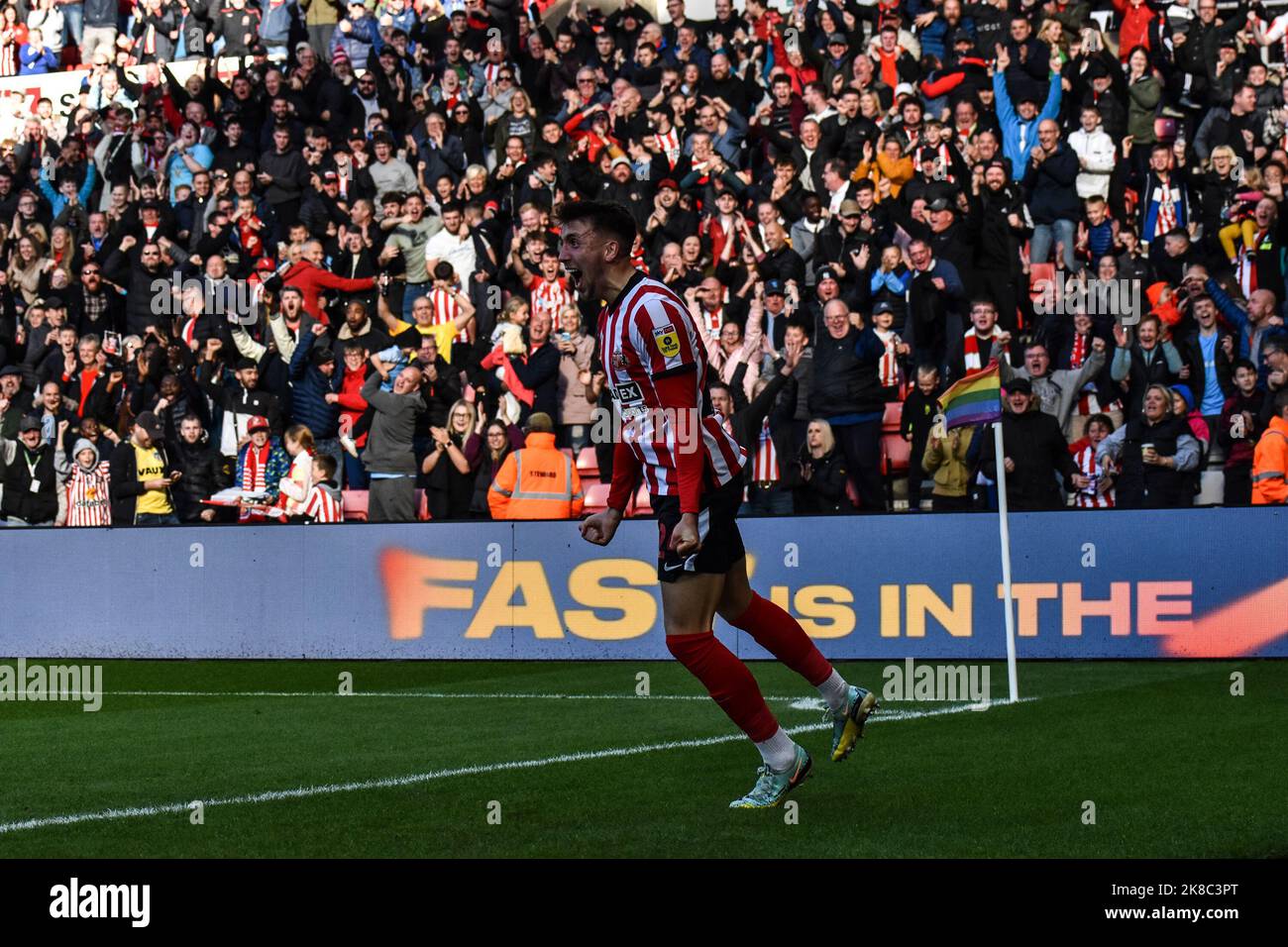 Dan neil sunderland hi-res stock photography and images - Alamy