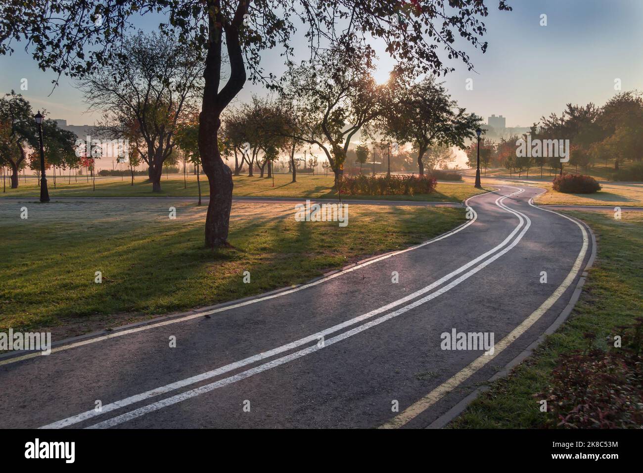 bike path in the park early in the morning Stock Photo - Alamy
