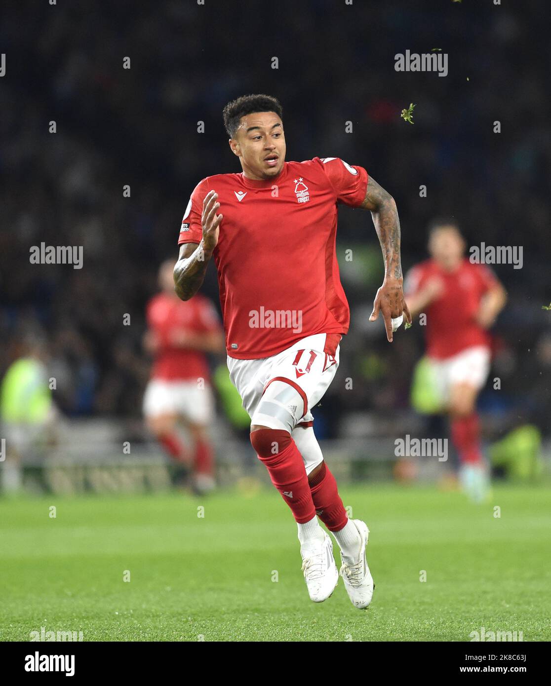 Jesse lingard forest hi-res stock photography and images - Alamy