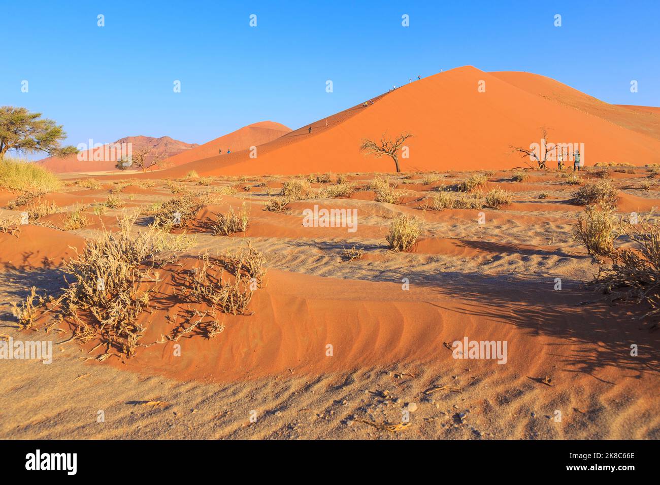 Sossusvlei, Namibia - 29 September 2018: Tourists on the famous dune 45 ...