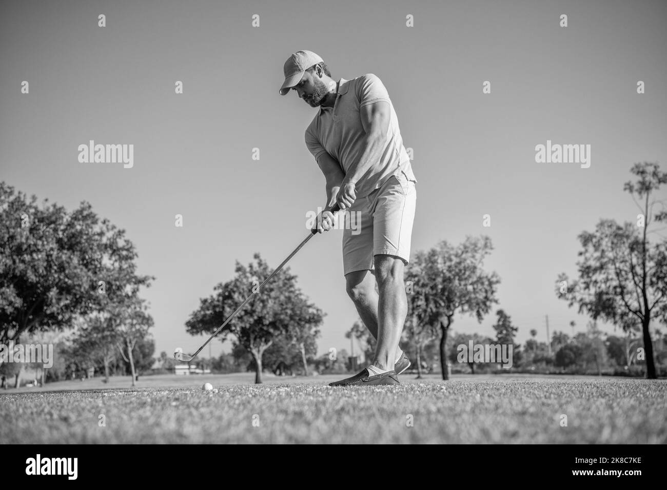 active male golf player on professional course with green grass ...