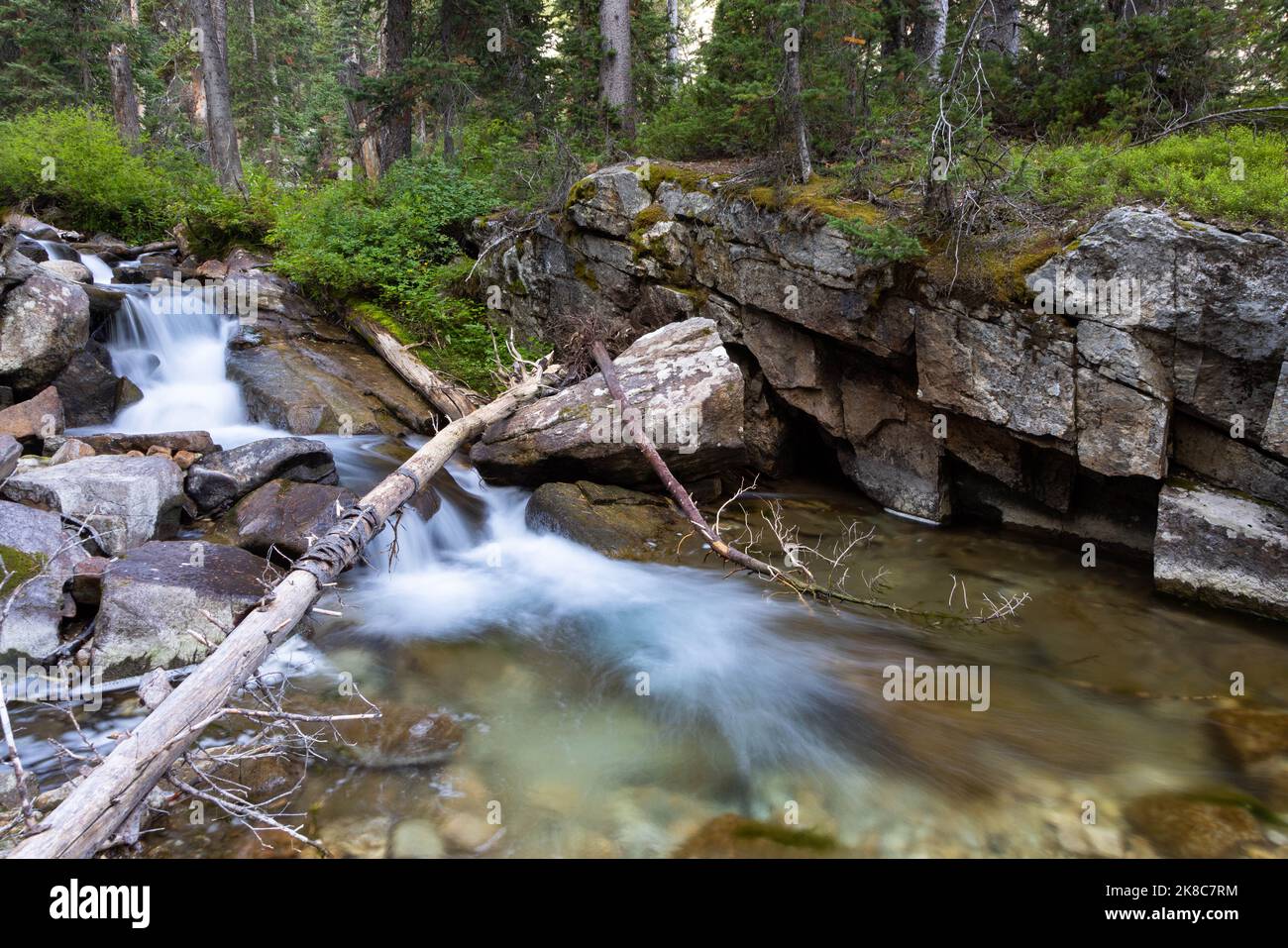 The South Fork of Cascade Creek cascading through rocks and forests ...