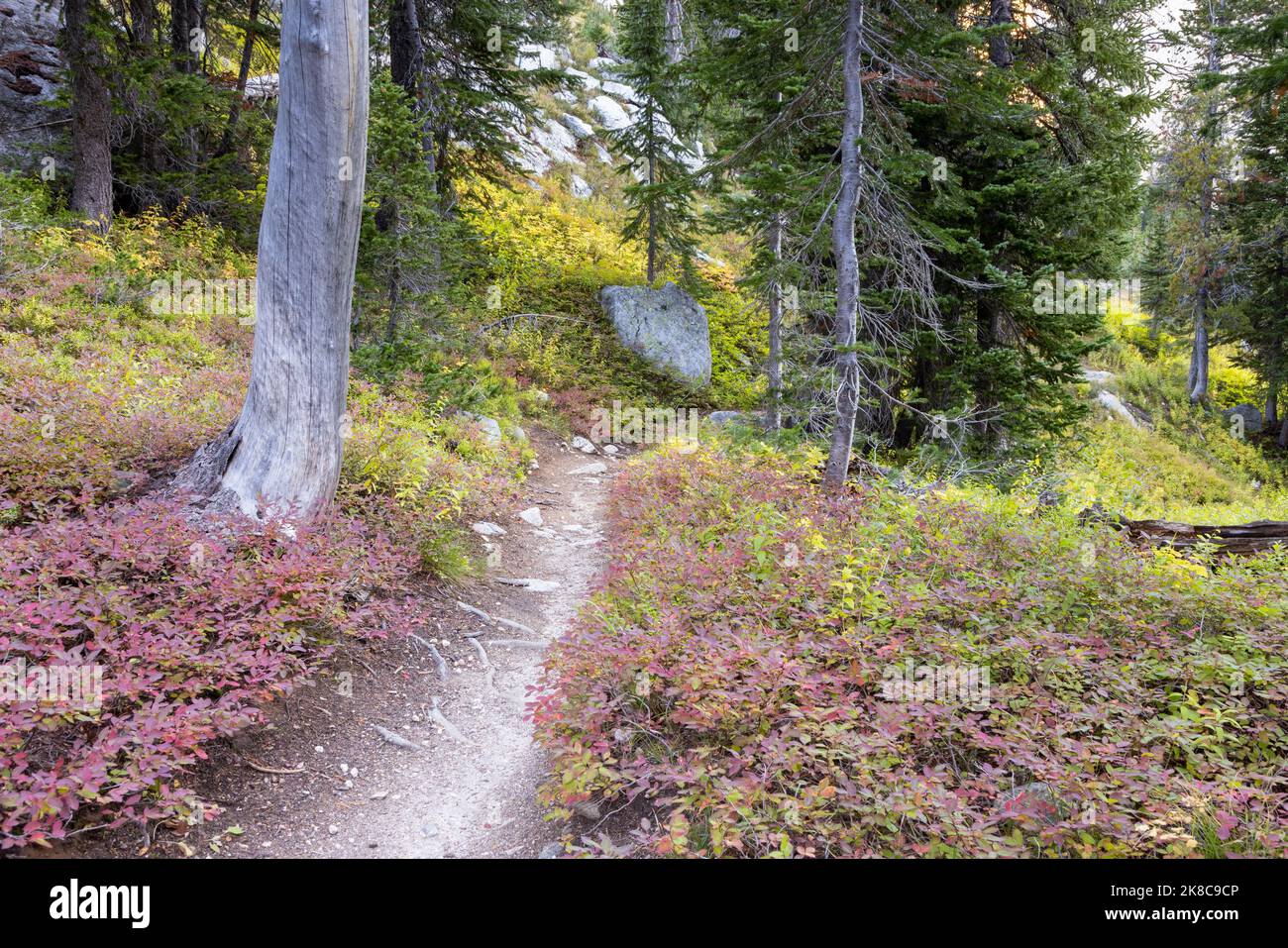 The Teton Crest Trail winding through the South Fork of Cascade Canyon ...