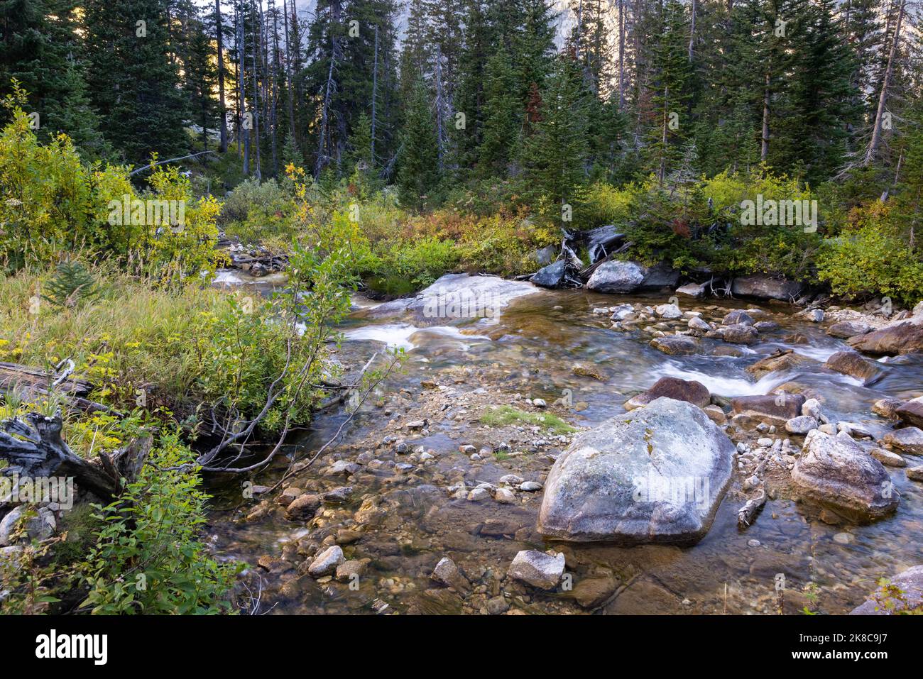 The South Fork of Cascade Creek winding through a forest in the South ...