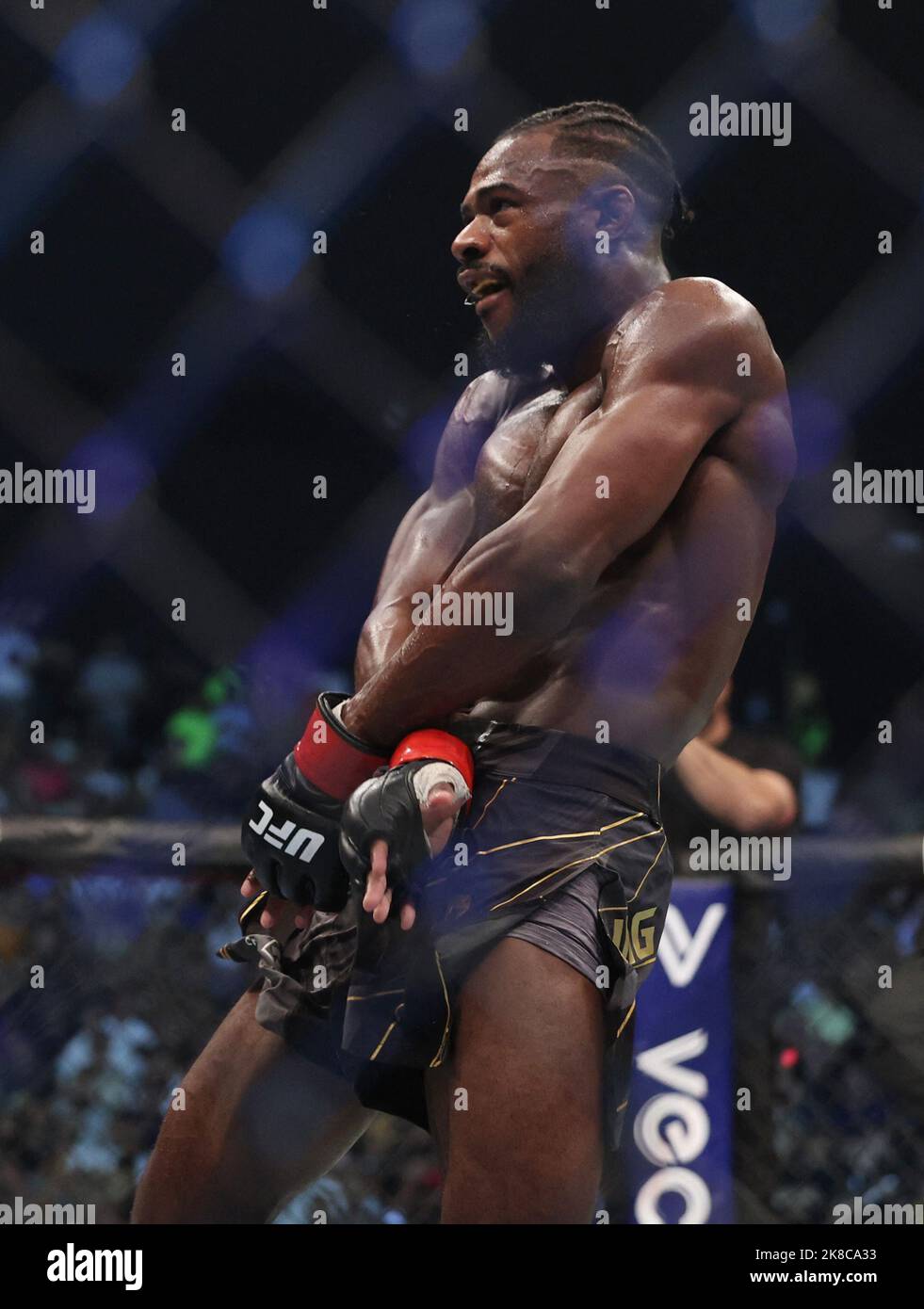 Aljamain hi-res stock photography and images - Alamy