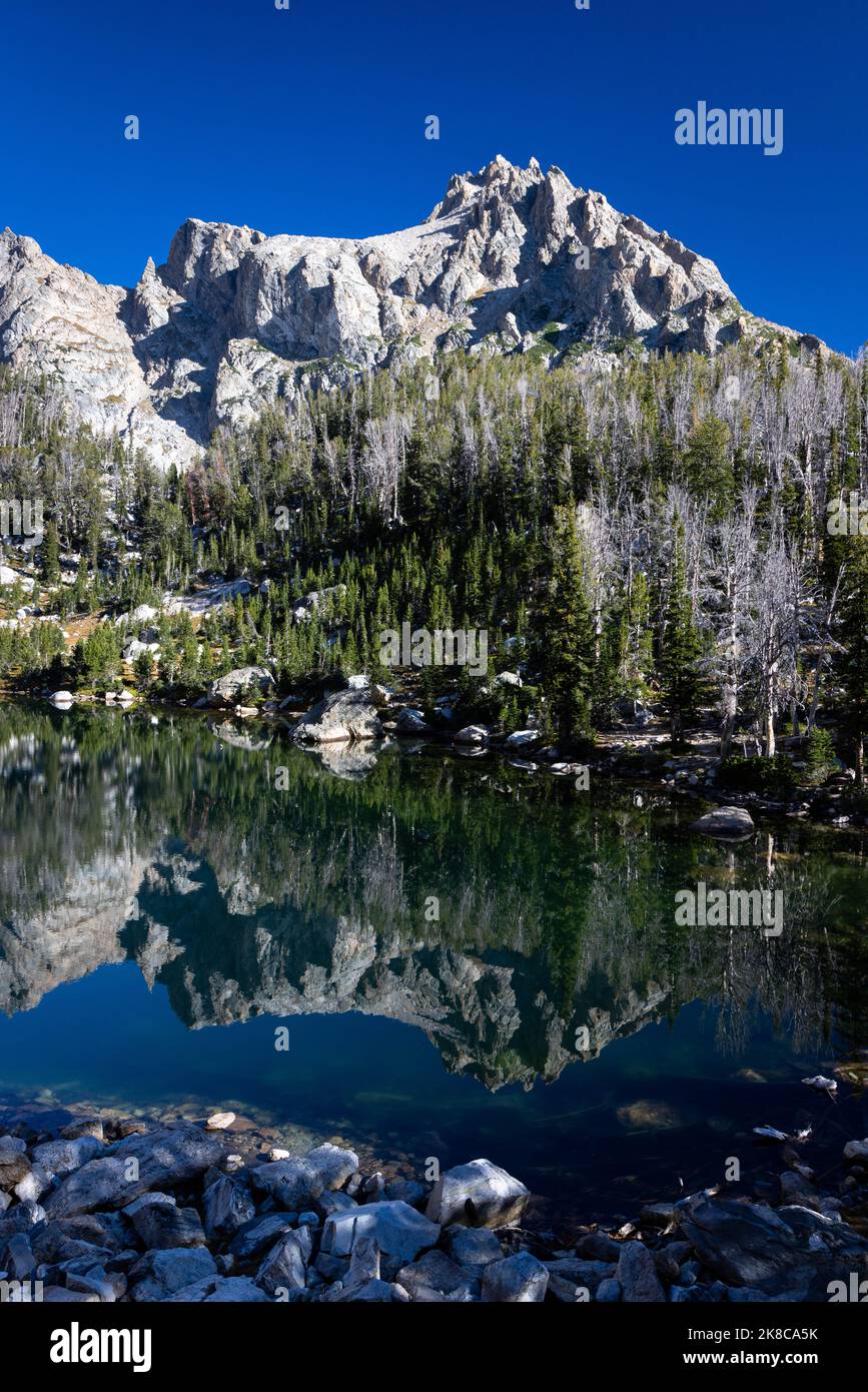 Amphitheater Lake reflecting Teewinot in the Teton Mountains. Grand ...